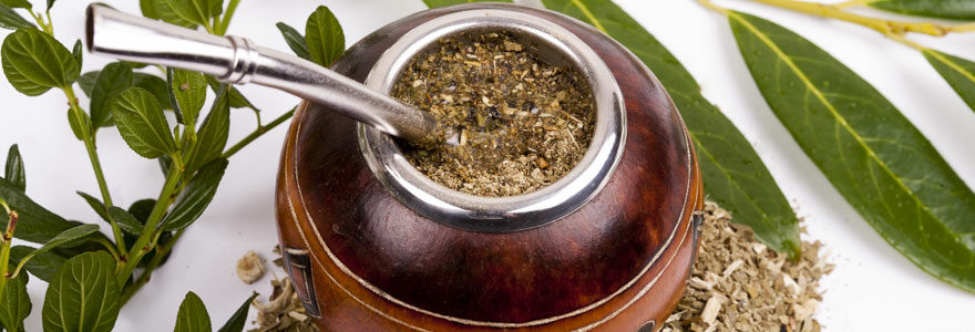 La préparation identique au maté traditionnelle